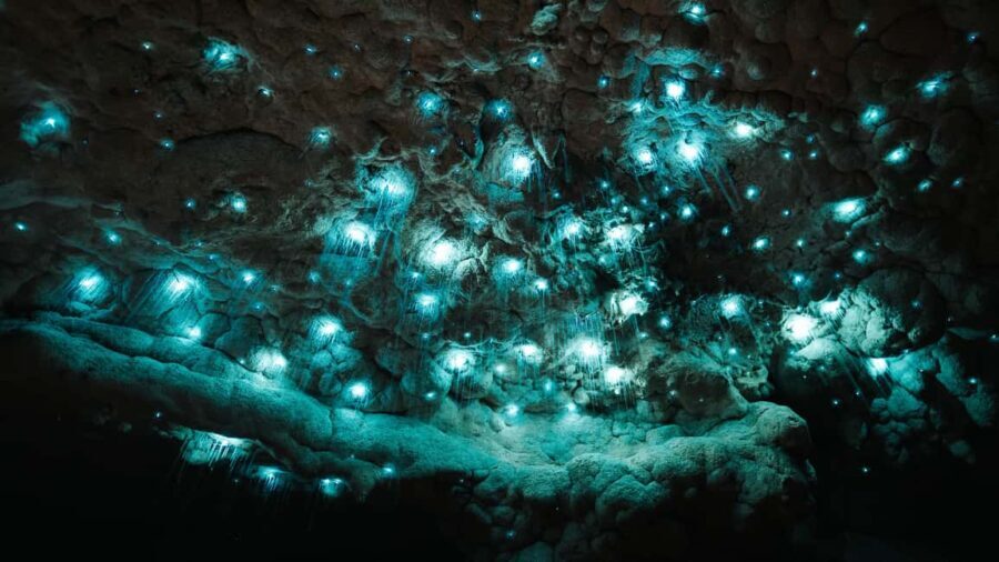 New Zealand: Milky Way Glowworm Cave Tour - The Sum Up