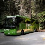 New Zealand: North Island Hop-On Hop-Off Pass - How the Itinerary Unfolds