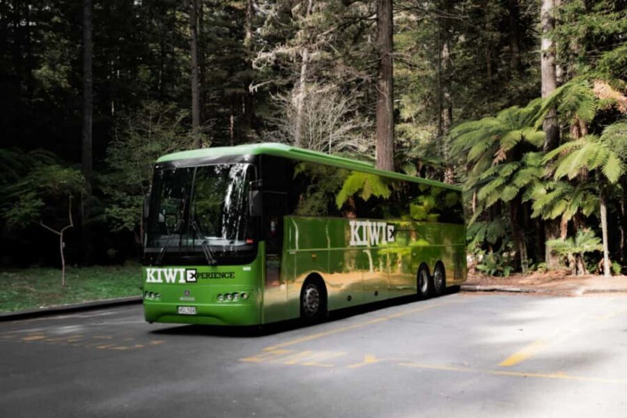 New Zealand: North Island Hop-On Hop-Off Pass - How the Itinerary Unfolds