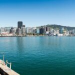 New Zealand Wellington Airport (WLG) to Wellington City Centre - Who Is This Tour Best For?