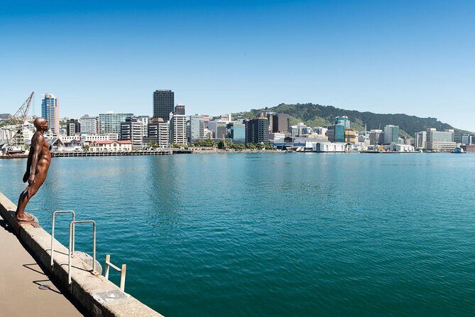 New Zealand Wellington Airport (WLG) to Wellington City Centre - Who Is This Tour Best For?