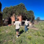 Newcastle: Hunter Valley River & Farm Tour with BBQ - What Past Travelers Say