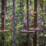 Newcastle: Junior Tree Ropes Course - The Experience in Detail