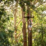 Newcastle: Tree Ropes Course Adventure - What Makes It Stand Out?
