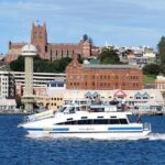Newcastle Whale Watching Cruise - Detailed Breakdown of the Experience