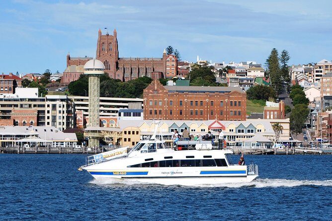 Newcastle Whale Watching Cruise - Detailed Breakdown of the Experience