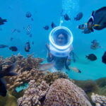 Nha Trang: A Green Journey  Diving Deep to Plant Corals - Analyzing the Value