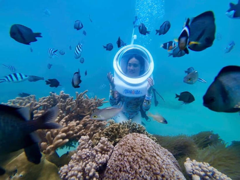 Nha Trang: A Green Journey  Diving Deep to Plant Corals - Analyzing the Value