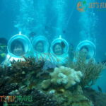 Nha Trang City Scuba Diving Adventure & Seaside Tour - Final Thoughts