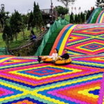 Nha Trang-Da Lat Day Trip: Explore Mongo & Donki Land - Discovering Donki Land: A Fairy Tale in the Hills