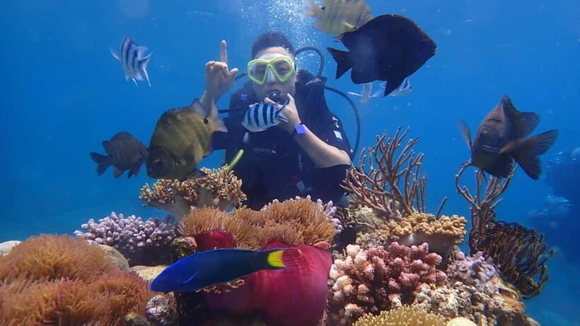 Nha Trang: Discover Scuba Diving for Non-Certified Divers - What Makes This Tour Stand Out?