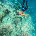 Nha Trang: Half-Day Snorkeling Adventure with BBQ Onboard - What Reviewers Are Saying