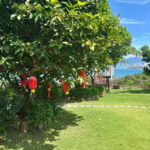 Nha Trang: Hidden Gems Tour with Coffee and Pho - What Makes This Tour Stand Out