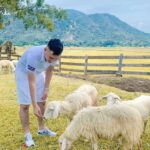 Nha Trang Ninh Thuan: Coral Coast, Grape Gardens, Suoi Tien - Practical Considerations and Value
