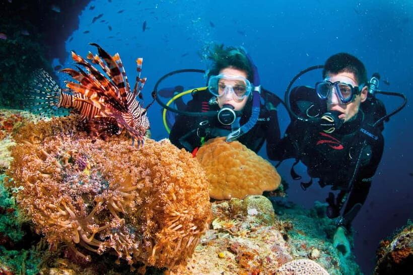 Nha Trang: Scuba Diving Tour with Lunch and Drinks - Hotel Pickup and Early Start