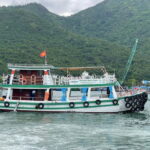 Nha Trang: Snorkeling Tour with BBQ Lunch at Coral Reef - What’s Included & What’s Not
