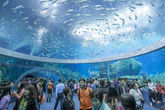 Nha Trang Top Attractions and Hidden Gems Adventure - Museum of Oceanography: A Window into Marine Diversity