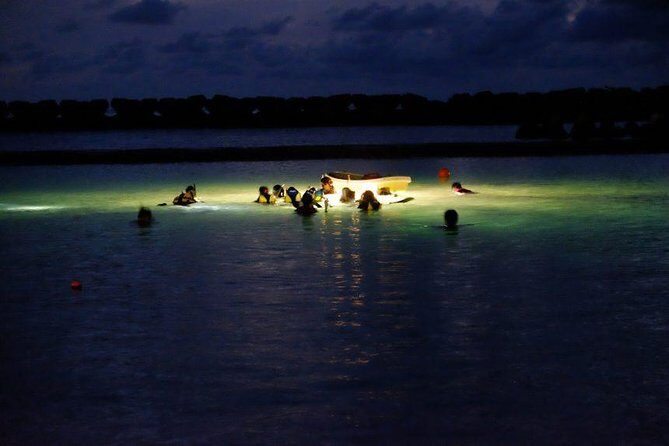 Night Snorkeling Experience in Mirissa - Authentic Experiences from Traveler Reviews