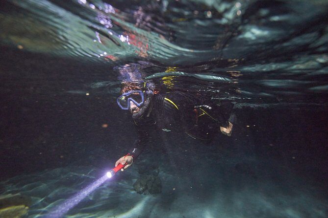 Night Snorkeling - Why This Tour Stands Out