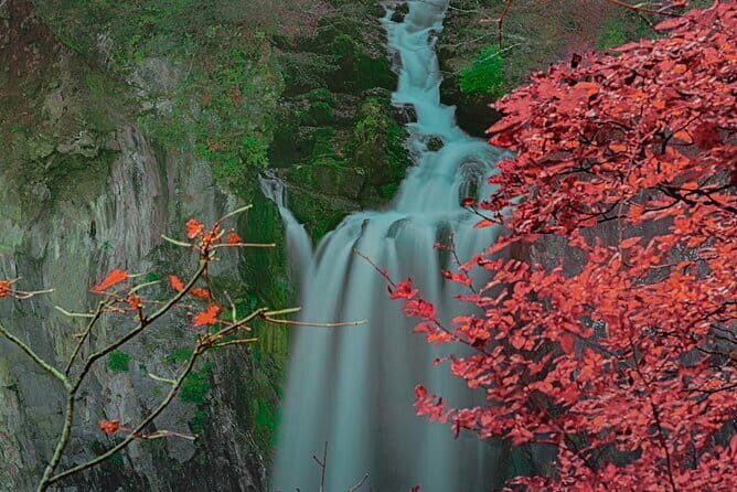 Nikko Full Day Customize Private tour - Authentic Experiences and Real Traveler Insights