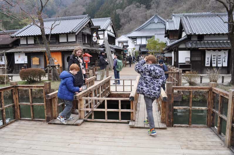 Nikko in Style: Luxury private Day Tour with English guide - Who Should Consider This Tour?