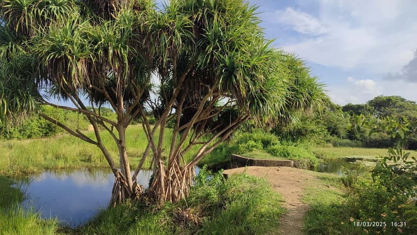 Nilaveli: Crocodile Lake with Lagoon Boat Safari - Practical Details and Value