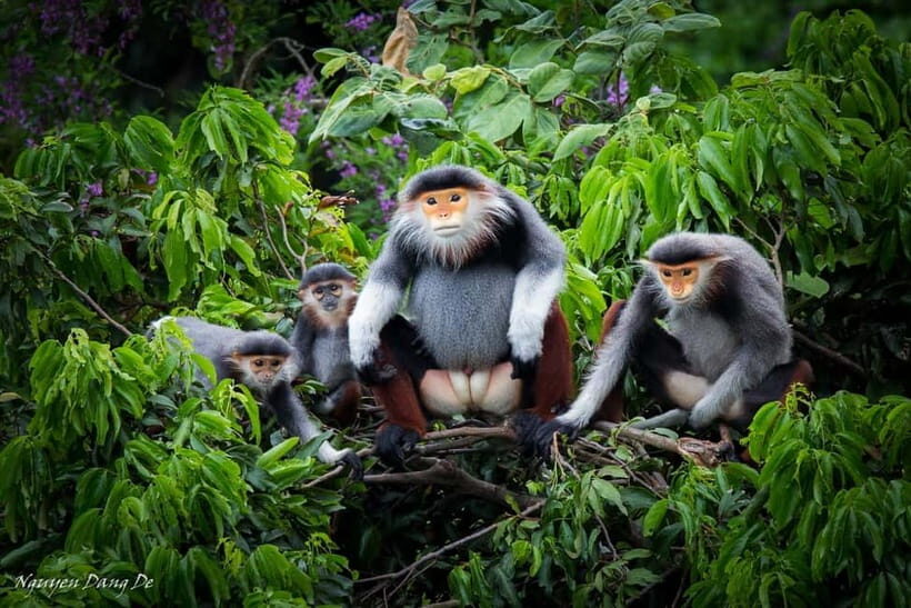 Ninh Binh: Cuc Phuong Jungle Hike & Wildlife Day Trip - Is It Worth the Price?