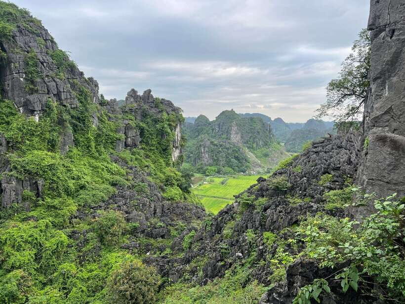 Ninh Binh Trang An, Mua Cave, Cuc Phuong National Park Tour - Transportation and Logistics
