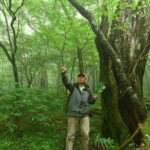 Nishiusuzuka: Fuji Forest Hiking Tour with Guide & Transfer - The Sum Up: Who Should Consider This Tour?