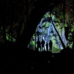 Nocturnal adventure Glow-worm tour - The Experience: What Travelers Are Saying