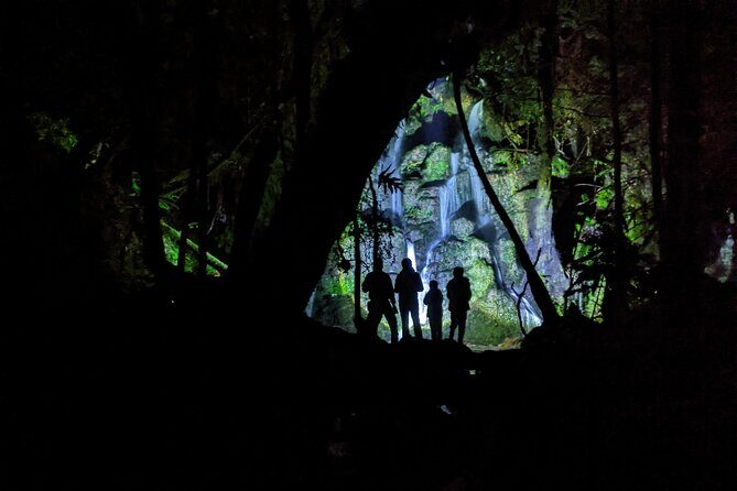 Nocturnal adventure Glow-worm tour - The Experience: What Travelers Are Saying