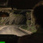 Nocturnal Tour of Kangaroo Island - What Sets This Tour Apart?
