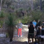 Nocturnal Wildlife Tour from Busselton or Dunsborough - Final Thoughts: Is it Worth It?