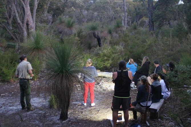 Nocturnal Wildlife Tour from Busselton or Dunsborough - Final Thoughts: Is it Worth It?