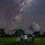 Nocturnal Wonders Tawharanui Kiwi Spotting and Stargazing Tour - Final Thoughts: Who Will Love This Experience?