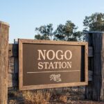 Nogo Station Experience - The Sum Up: Who Should Consider the Nogo Station Experience