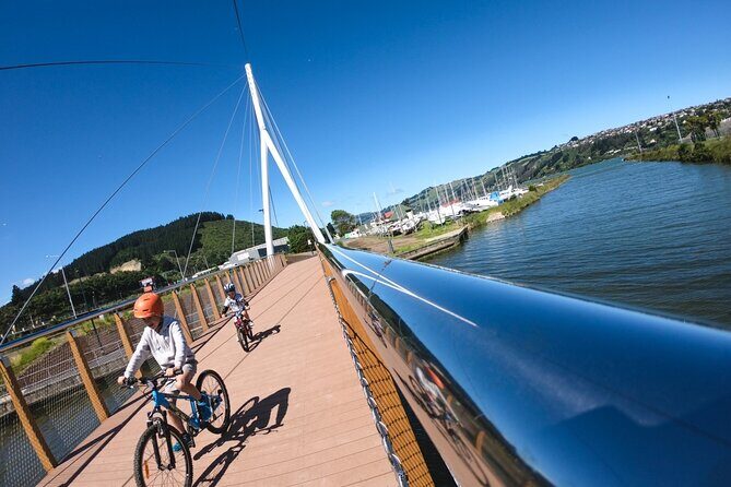 Non-Electric Bike Rental - Practical Details and Tips