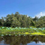 None Shopping Mekong Delta Tan Lap Floating Village Tour - Who Will Love This Tour?