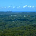 Noosa, Aussie Animals & Glass House Mountains from Brisbane - Overall Value and Practicalities