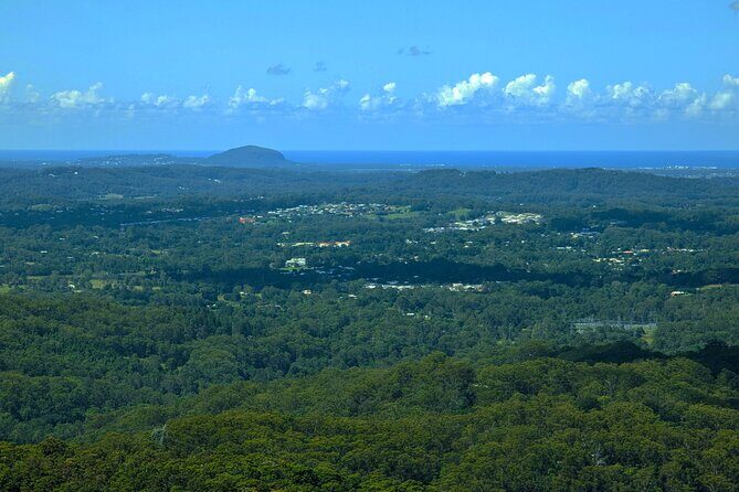 Noosa, Aussie Animals & Glass House Mountains from Brisbane - Overall Value and Practicalities