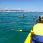 Noosa: Dolphin Sea Kayak & Beach 4X4 Tour (in National Park) - The Experience’s Value and Practicalities
