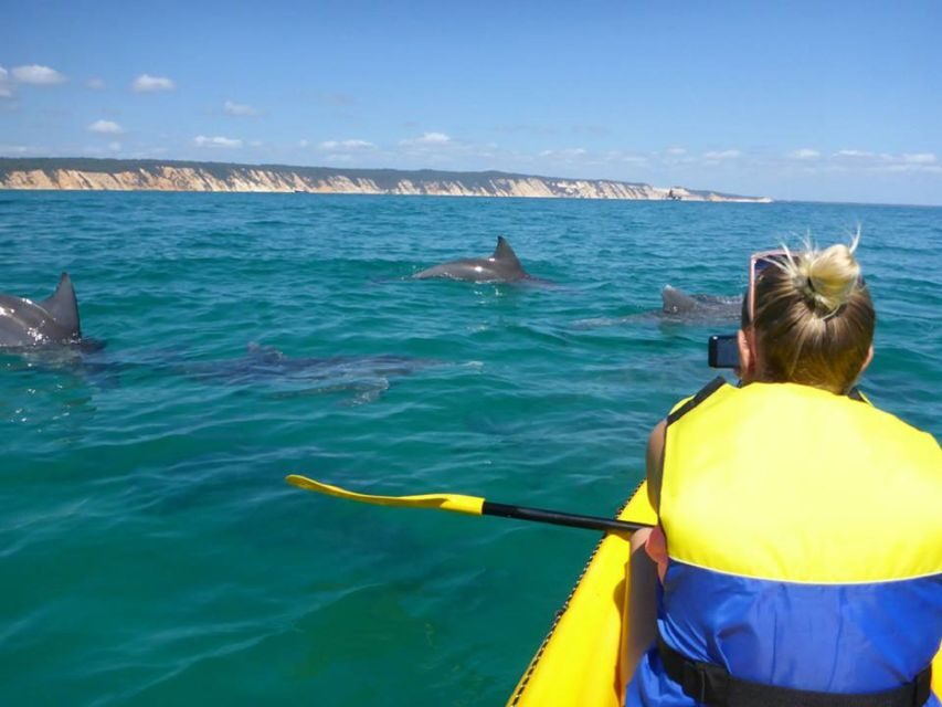 Noosa: Dolphin Sea Kayak & Beach 4X4 Tour (in National Park) - The Experience’s Value and Practicalities
