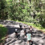 Noosa: E-Bike Tour from Mt Tinbeerwah to Noosa - Practical Tips for Participants