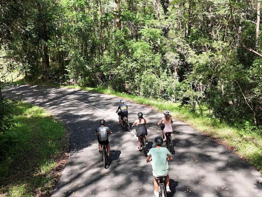 Noosa: E-Bike Tour from Mt Tinbeerwah to Noosa - Practical Tips for Participants