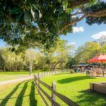Noosa: Everglades Explorer Cruise - Who Should Consider This Tour?