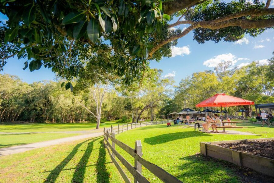 Noosa: Everglades Explorer Cruise - Who Should Consider This Tour?