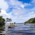 Noosa Everglades: Truly Sustainable Guided KAYAK Tour - A Balanced Itinerary