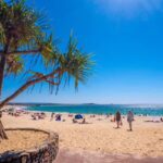Noosa Heads and Eumundi Markets Private Tour from Brisbane - Value for Money & Practical Considerations