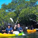 Noosa Heads: Hidden Waterways Wildlife Kayak (Fully Guided) - Who Will Love This Experience?