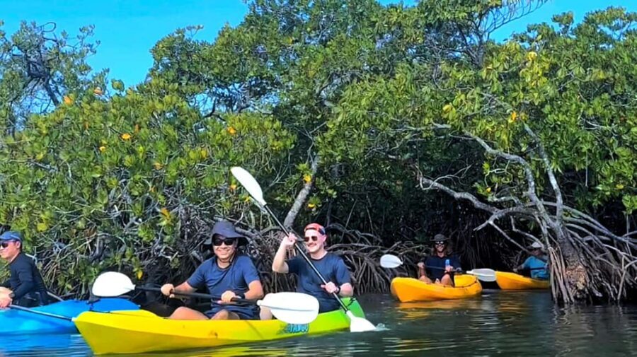 Noosa Heads: Hidden Waterways Wildlife Kayak (Fully Guided) - Who Will Love This Experience?